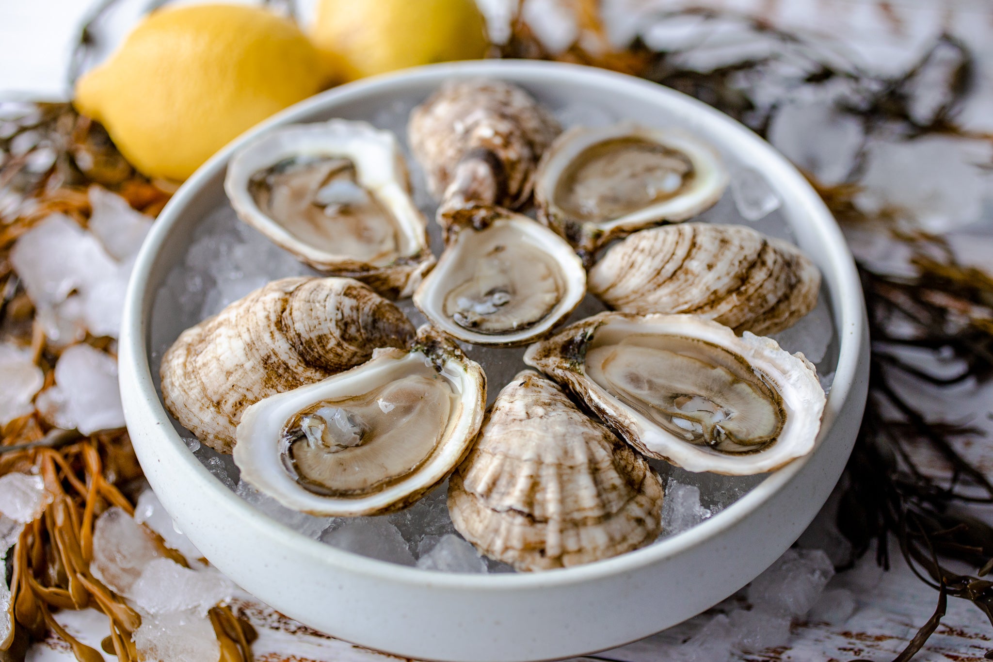 Buy Seafood online and delivered to your home or workplace. Seafood