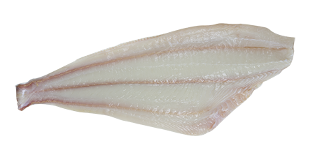 HALIBUT FILLET WEST COAST by LB FRESH - Seafood Online Canada
