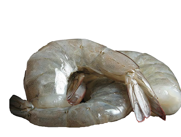 SHRIMP SHELL-ON EASY PEEL 26-30 BT* 454g FROZEN - Seafood Online Canada